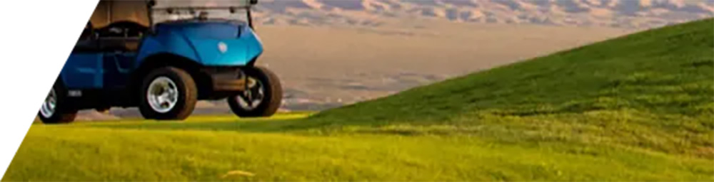 Technology,Electric golf cart,electric golf buggy professional ...